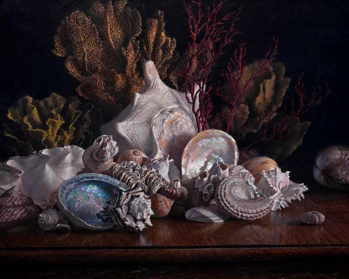 Seashells – Andrew Tischler Fine Art